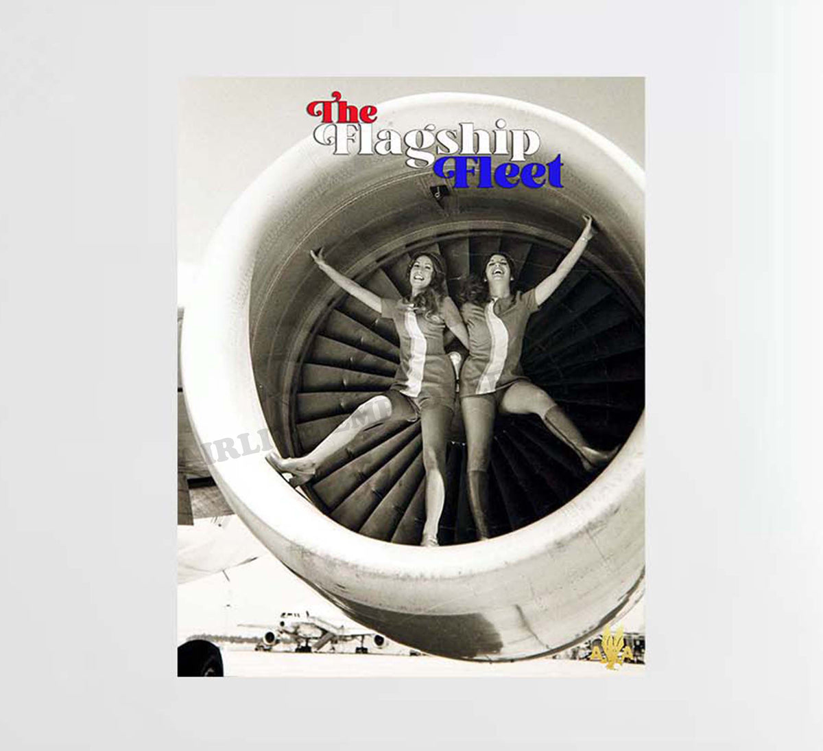 American Airlines The Flagship Fleet Decal Stickers – Airline Employee Shop