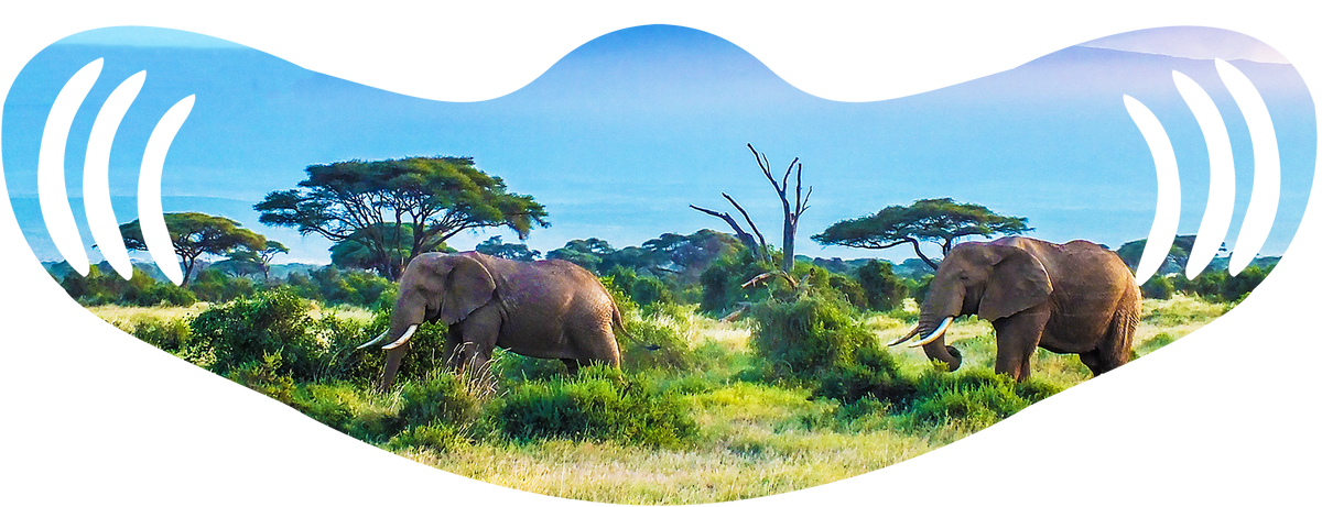 African Safari Face Mask – Airline Employee Shop