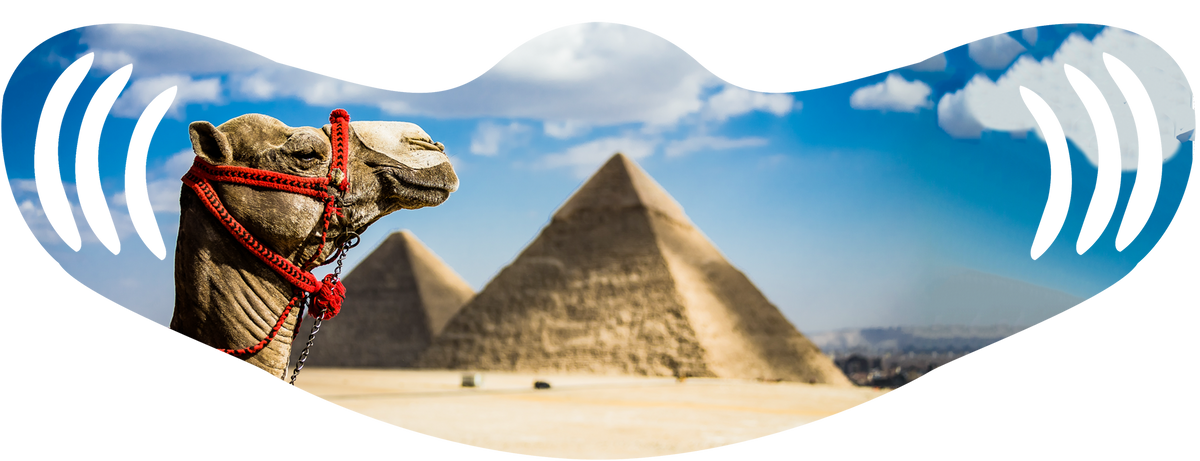 Egypt Face Mask – Airline Employee Shop
