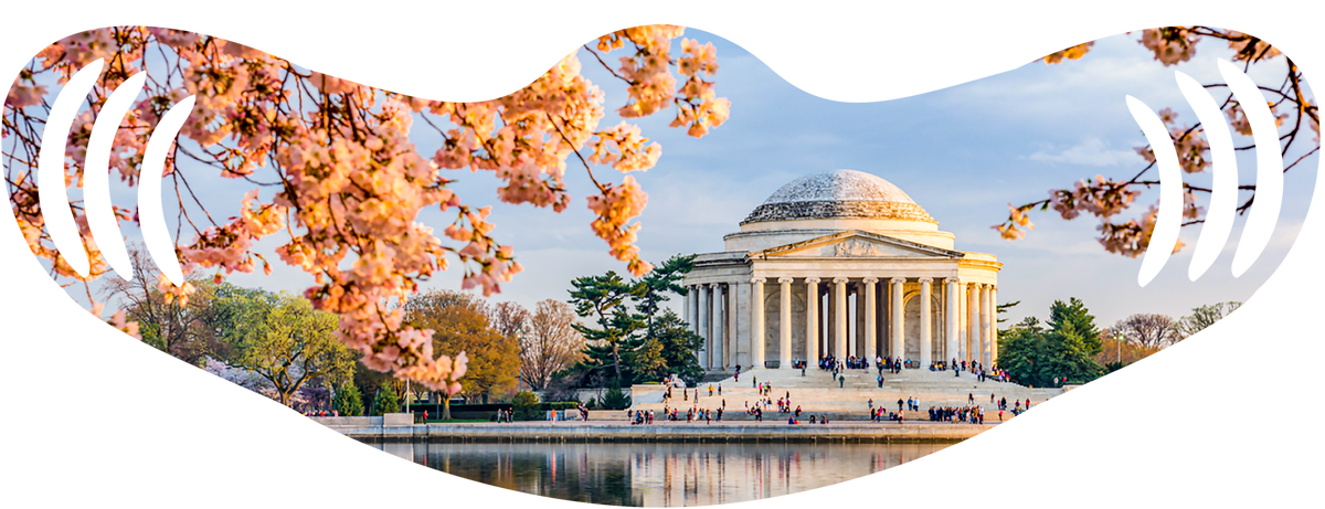 Washington DC Face Mask – Airline Employee Shop